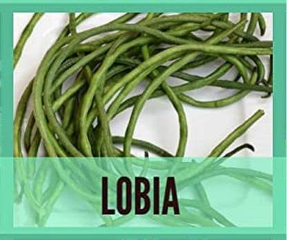 CYBEXIS Organic Lobia/Long Beans Seeds800 Seeds Seed Price in India ...