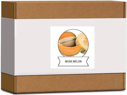 CYBEXIS Organic Musk Melon Seeds200 Seeds Seed Price in India - Buy ...