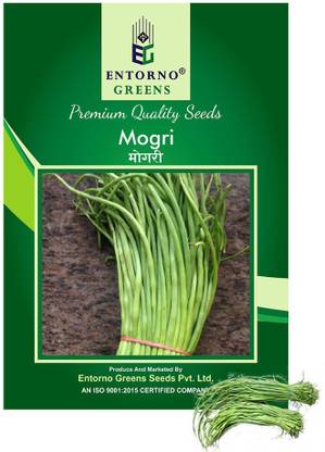 Olverse Mogri Seed Price in India - Buy Olverse Mogri Seed online at ...