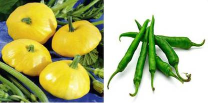 xcentax CHILLI JWALA PARIKSHA, Squash Pattison Pan Seed Price in India ...