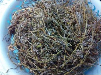 VIPASHYA Shankhpushpi Seed_100gms, Shankhini, Kambumalini Seed Price in ...