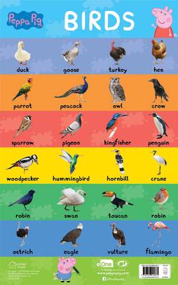 Learn with Peppa Early Learning Birds Chart for Children: Buy Learn ...