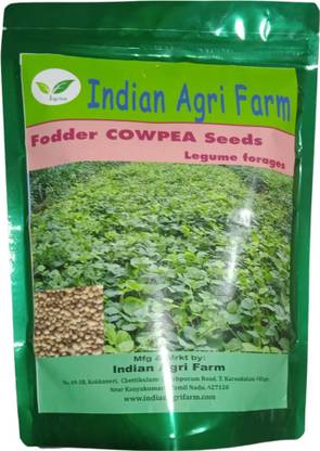 IAgriFarm Fodder Cowpea Seeds pack of 100 Grms Seed Price in India - Buy IAgriFarm Fodder Cowpea ...