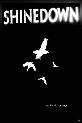 Mgmt American Rock Band Andrew Vanwyngarden Ben Goldwasser Will Berman ...