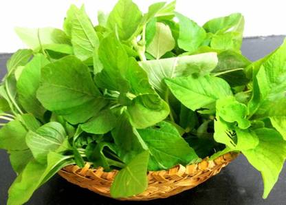 Gromax India Green Cholai Vegetable Seed, For Your Kitchen Gardening ...