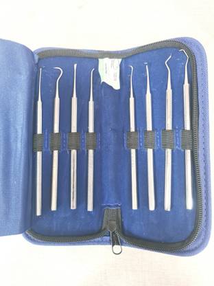 API Dental Hand Kits (Perio Scalers D/E) Dental Elevator Price in India ...