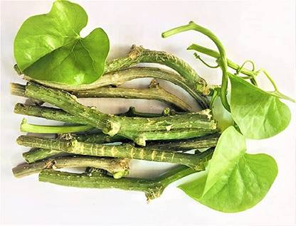 BUWCH Giloy Seed Price in India - Buy BUWCH Giloy Seed online at ...