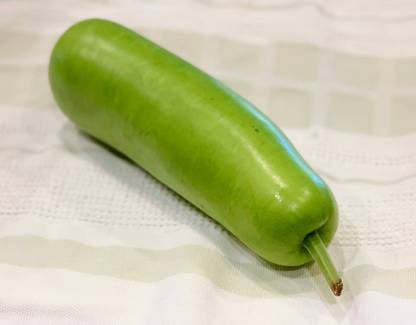 Organic Galaxy Upl Bottle-Gourd (lokki) Vegetable F1 Hybrid Variety ...