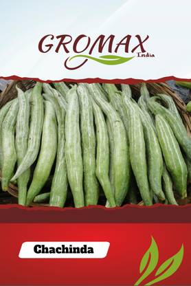 Gromax India Chachinda Seed Price in India - Buy Gromax India Chachinda ...