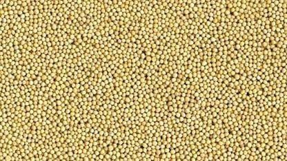 Cadence Safed Rai Seed Seed Price in India - Buy Cadence Safed Rai Seed ...