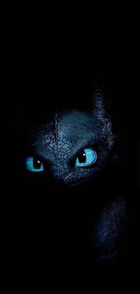 Toothless Dragon Httyd Matte Finish Poster Paper Print - Animation ...