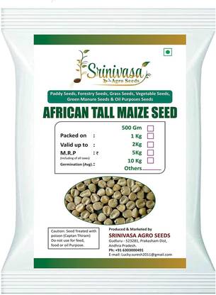 Srinivasa Agro Seeds African Tall Maize/Fodder Maize/Makka Seeds, 2kg ...