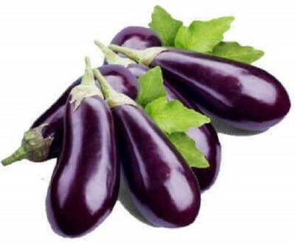 MAA Brinjal purple long, Brinjal, Eggplant Seed Price in India - Buy ...