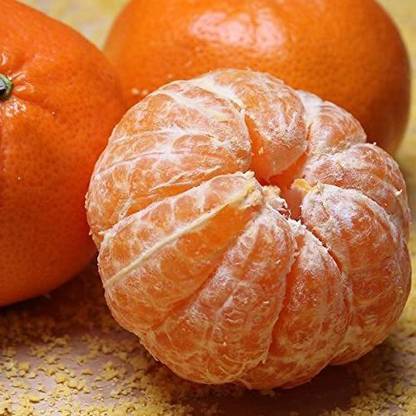 KANAYA Orange Fruit Hybrid Seed Price in India - Buy KANAYA Orange ...
