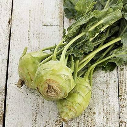 KANAYA Knol Khol Vegetable Fresh Hybrid Seed Price in India - Buy ...