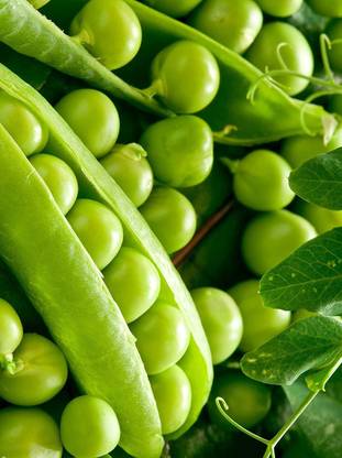 Cera Wares Matar Seed Price in India - Buy Cera Wares Matar Seed online ...