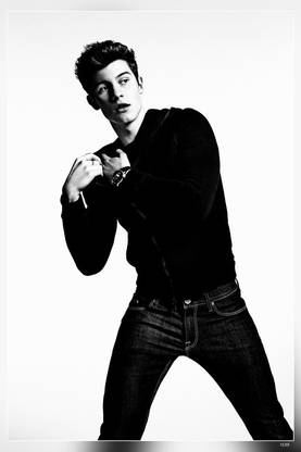Shawn Mendes Shawn Peter Raul Mendes A Canadian Singer And Songwriter ...