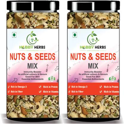 Hobby Herbs Nuts and Seed Mix 400 gm | Roasted and Salted Seed | Dry ...