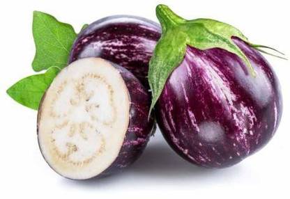 Gromax India Purple Brinjal Round Seeds (Baigan/Eggplant) Vegetable (50 ...