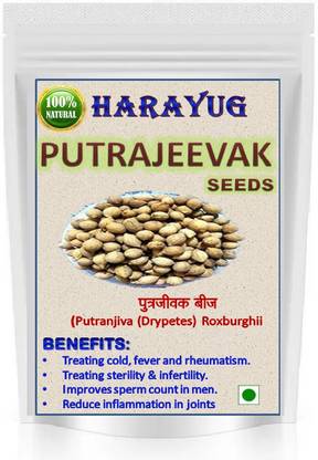 HARAYUG PUTRAJEEVAK BEEJ - JIYA POTA SEEDS - PUTRA JIVAK BEEJ - PUTRA ...