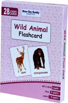 Blue-Sky Buddy Flash Cards for Kids Early Learning | Picture and ...