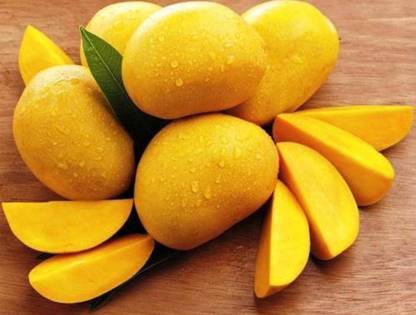Hapus Mango Plant Price in India - Buy Hapus Mango Plant online at ...
