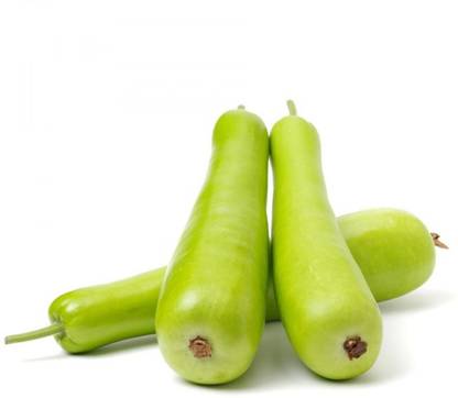 Organic Galaxy Upl Bottle-Gourd (lokki) Vegetable Hybrid Variety Seed ...