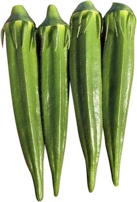 GREENIFY Okra Lady Finger /Green Okra Seeds Seed Price in India - Buy ...