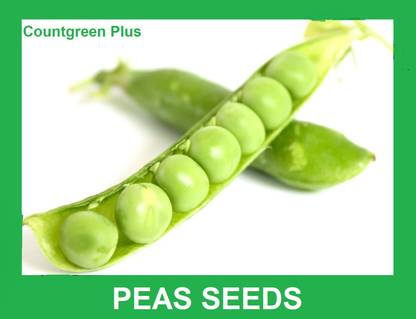 Countgreen Plus Pea (Matar) Vegetable Seed Price in India - Buy ...