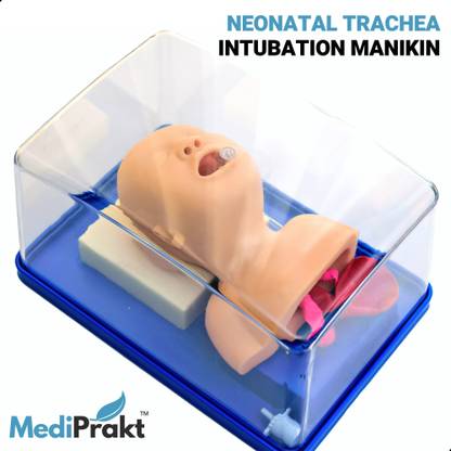 MediPrakt | NEONATAL TRACHEA INTUBATION MANIKIN | Neonate Intubation ...