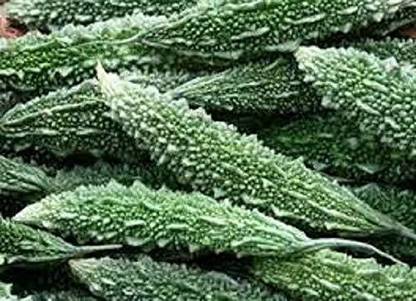 VibeX ® XLR-250 Desi Karela Bitter Gourd Seed Seed Price in India - Buy ...