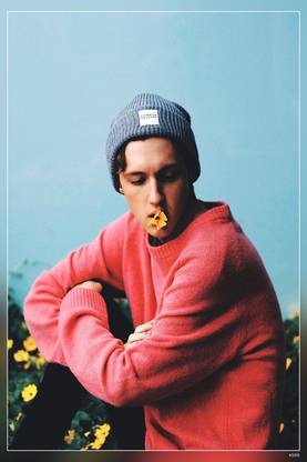 Troye Sivan Mellet A South African-Born Australian Singer Songwriter ...