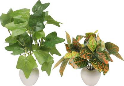Flipkart Perfect Homes Wild Artificial Plant with Pot Price in India ...