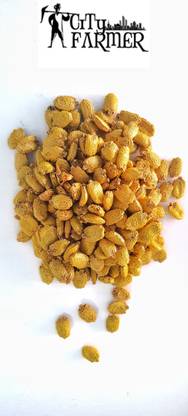 CITY FARMER BITTER GOURD SEEDS, PAGARKAI VIDHAI (pack of 18) Seed Price ...
