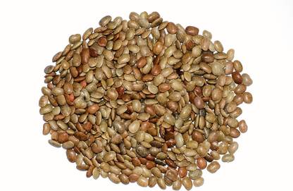 Nutiva Organics KULTHI DAL | GAHAT DAL | DOLICHOS BIFLORUS | HORSE GRAM ...