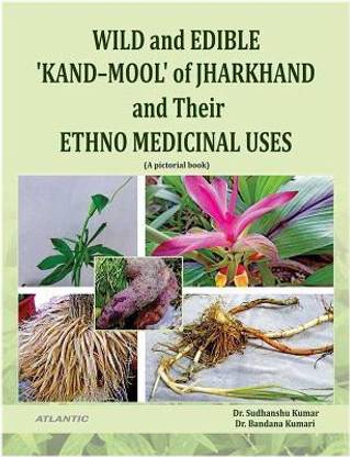 Wild and Edible 'Kand-Mool' of Jharkhand and their Ethno Medicinal Uses ...