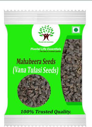 Pivotal Life Mahabeera Seeds (Vana Tulasi) Basil Seeds Price in India ...