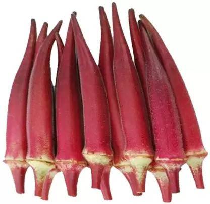 LYRS Lal Bhindi Red Lady Finger Seed For Gardening- 300 Seed Price in ...
