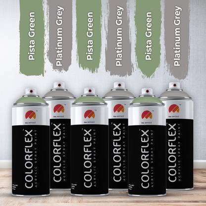 colorflex Pista Green & Platinum Grey. Spray Paint 400 ml Price in ...