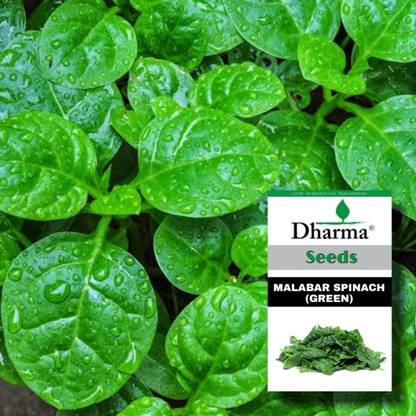 Dharma Malabar Spinach, Poi Saag, Pui Saag Seed Price in India - Buy ...