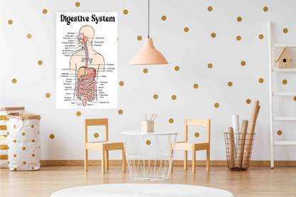 Kids Education Sticker Poster On "Digestive Sytem"|Sticker Poster For ...