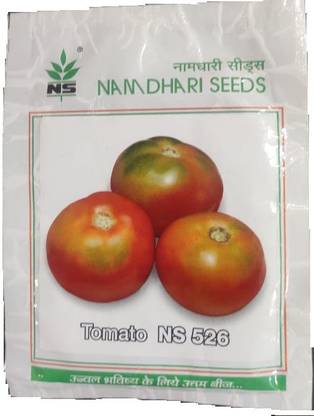 Namdhari Seeds Tomato, NS 526 - 10 g Seed Price in India - Buy Namdhari ...