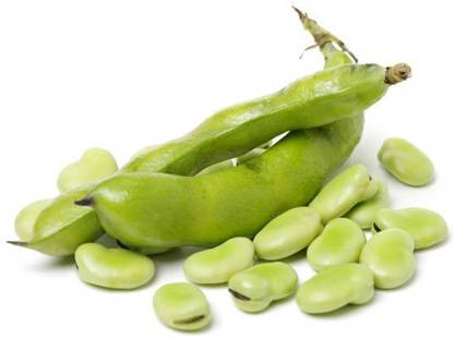 SimXotic Bakla Vegetable High Germination Seeds - Pack of 30 Seeds Open ...