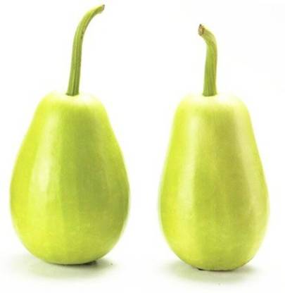 UGRA Round Bottle Gourd, Ghiya Seed Price in India - Buy UGRA Round ...