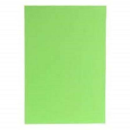 Flipkart.com | Eclet A4 60 Sheet light green sheet A4 Color Paper (180 ...
