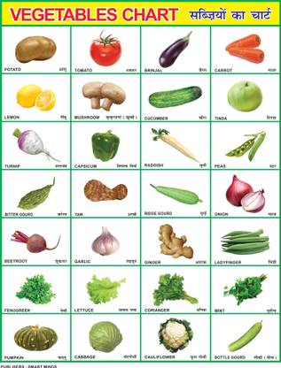 Vegetables Chart For Kids | 28x40Inch (70x100cm)| Laminated chart ...