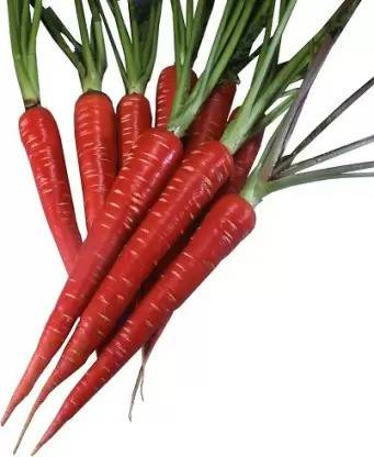 Enorme Red Carrot / Desi Seed Price in India - Buy Enorme Red Carrot ...