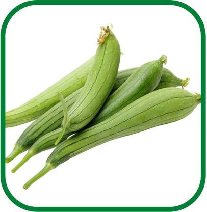 ENINE Tori Seed Price in India - Buy ENINE Tori Seed online at Flipkart.com