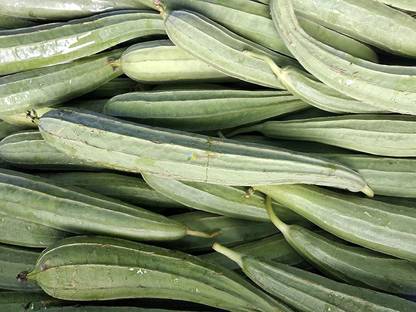 ENINE Tori Seed Price in India - Buy ENINE Tori Seed online at Flipkart.com