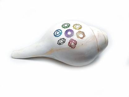 AIR9999 Original Lakshmi Sacred Shankh With Chakra Symbols For Pooja ...